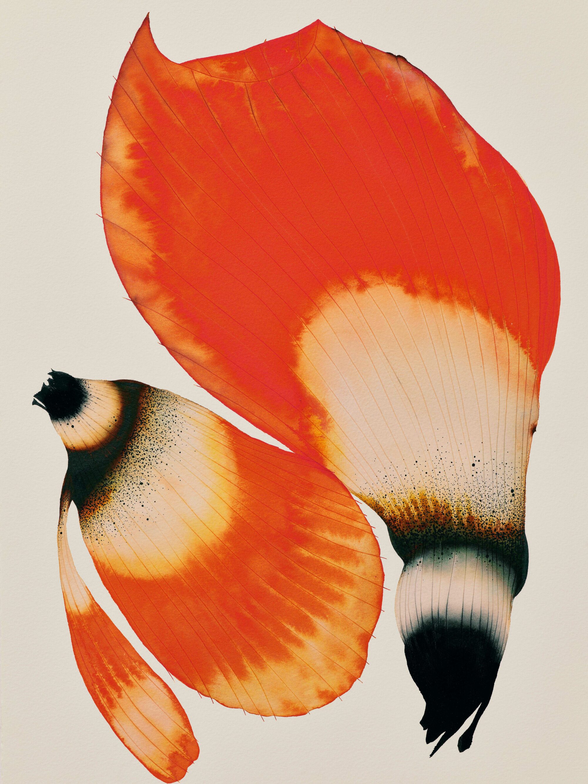 於服裝上綻放的水墨花卉：COS 攜手藝術家 Stephen Doherty 推出聯名系列 - The Femin